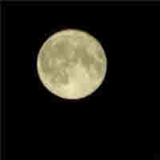 津港小陈聊聊平行进口 