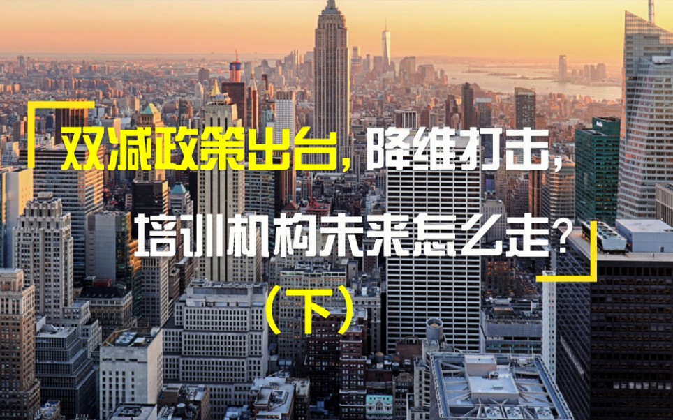 双减政策出台,降维打击,培训机构未来路在何方!