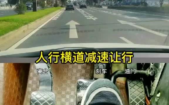 人行横道学会减速让行,避免追尾事故。 交通安全 驾驶技巧