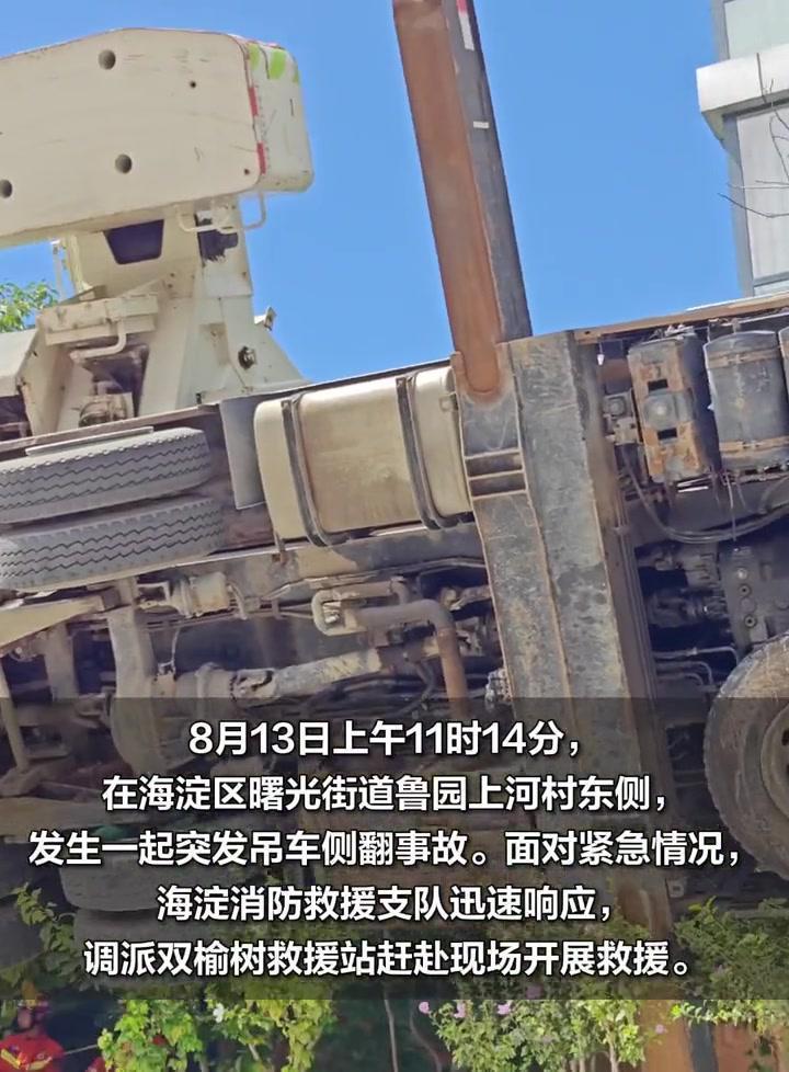 ...驾驶员被困。消防救援人员使用专业工具砍伐驾驶舱外树枝,成功救出...