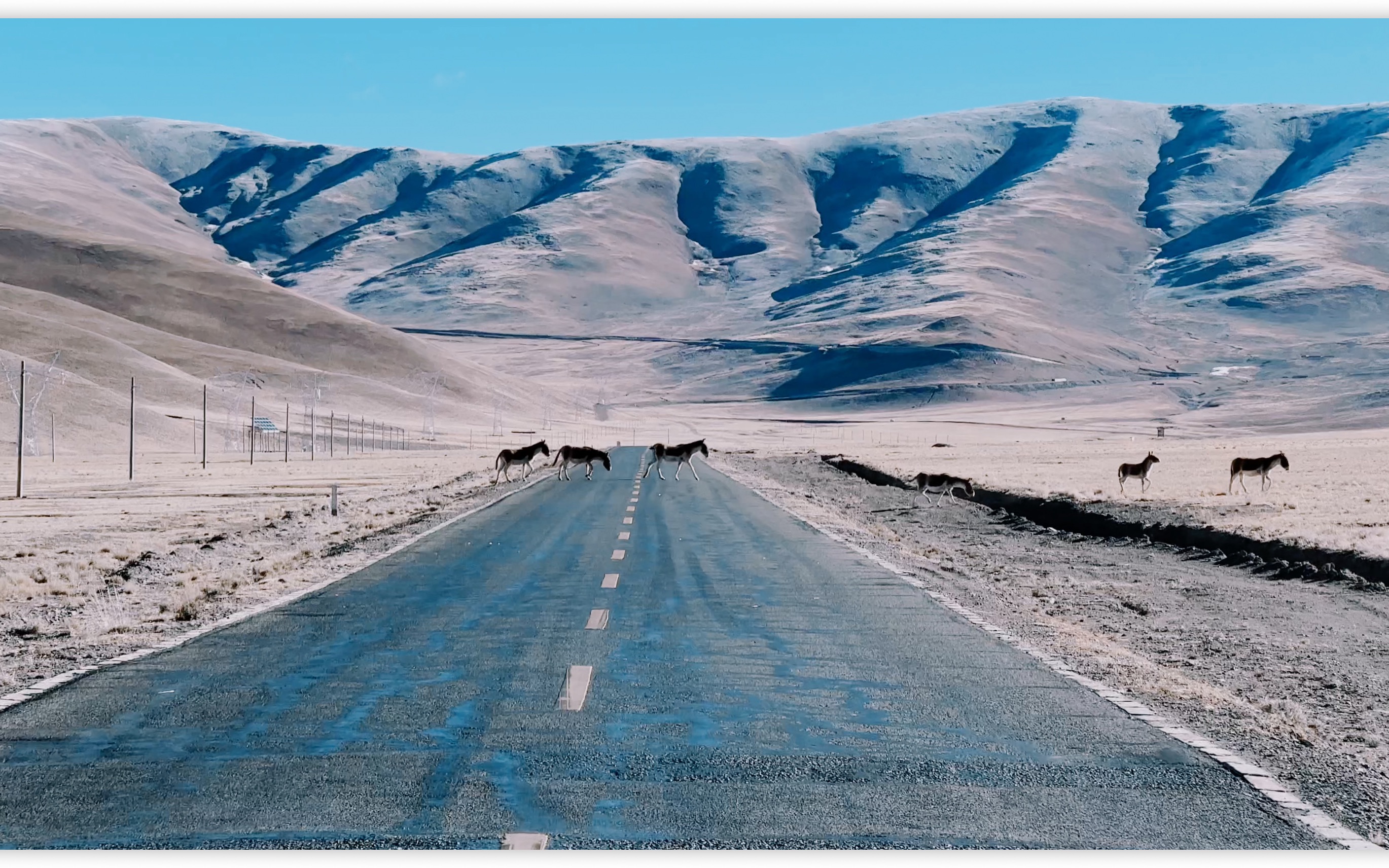 西藏旅行遭遇大雪封路!