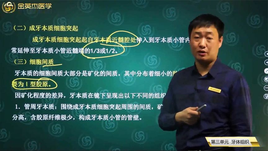 元牙体组织02牙本质02细胞间质,6种不同的牙本质组织结构