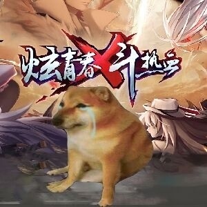 狗风雨的炫斗解说