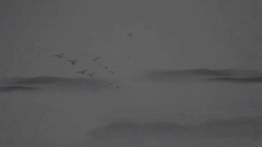 中国药都·樟树--樟树市宣传片