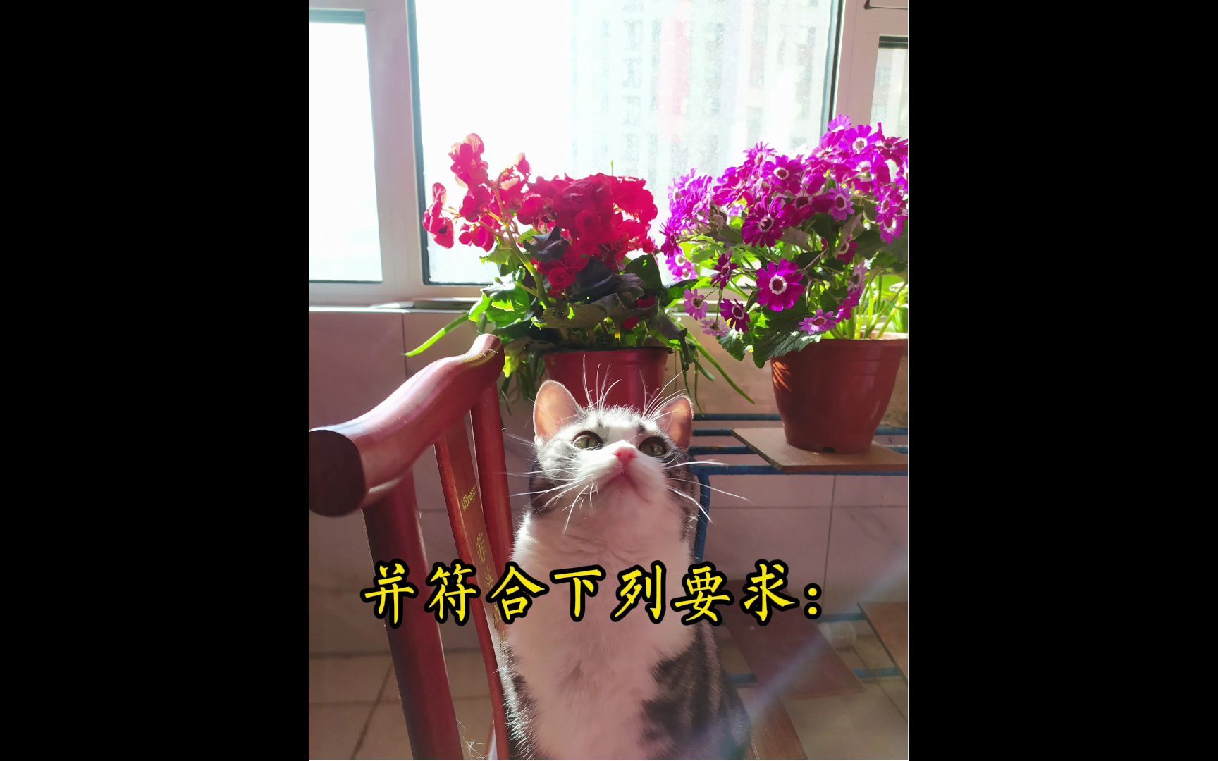 法律天天学---食品安全法---食品生产经营---第三十三条