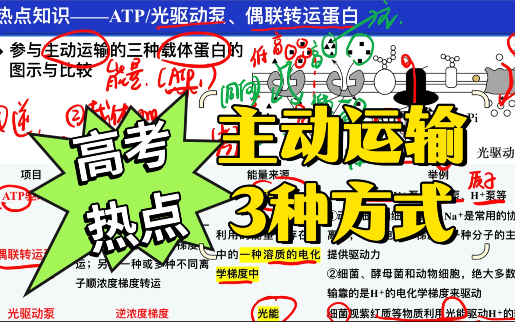 高考热点 | 主动运输的3种类型,ATP驱动泵,光驱动泵,偶练转运蛋白