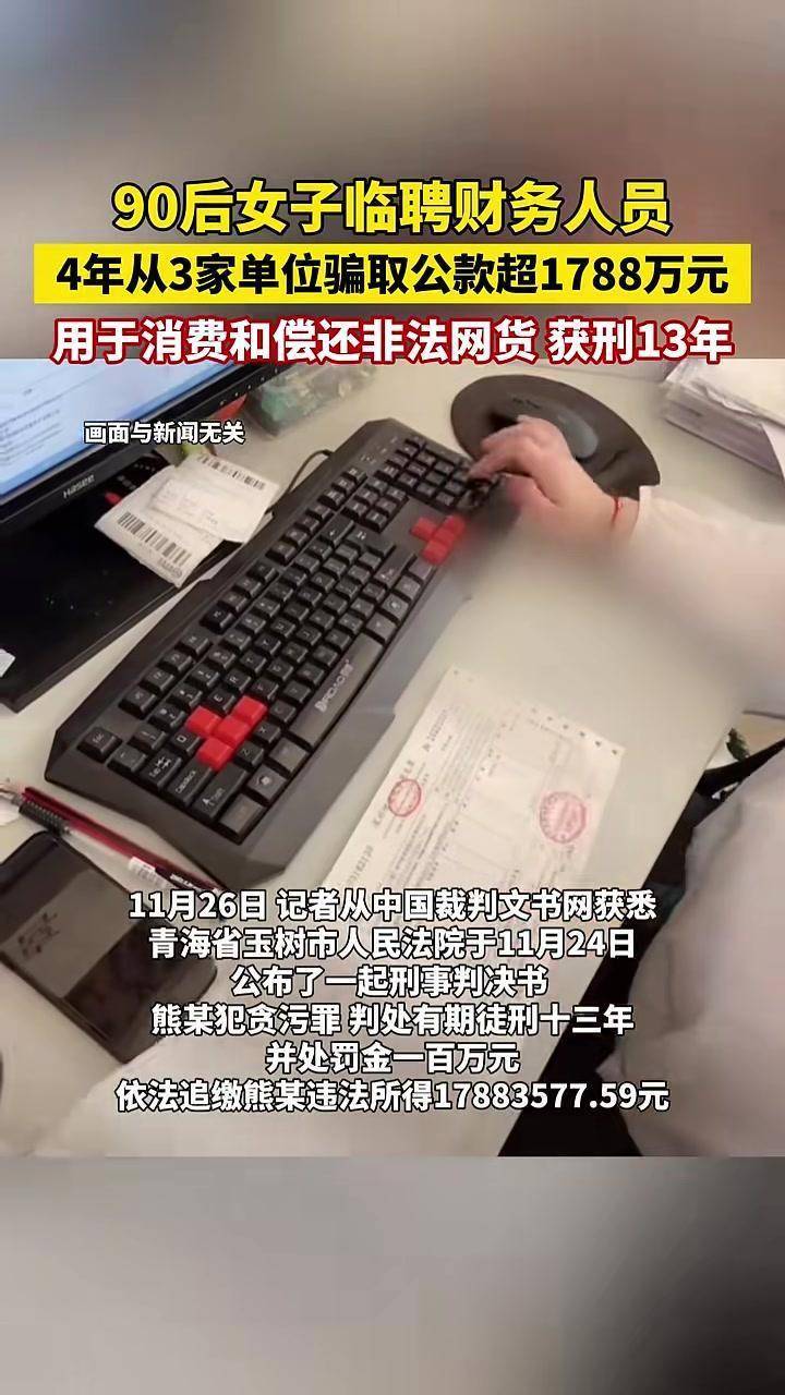 ...用于消费和偿还非法网贷,被判处有期徒刑13年,并处罚金100万元,依...