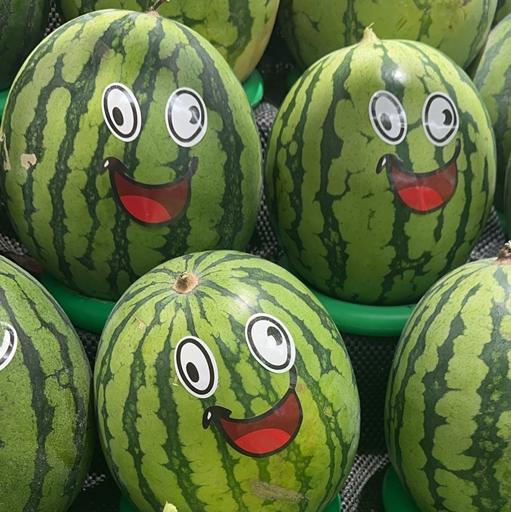 木水先生der 
