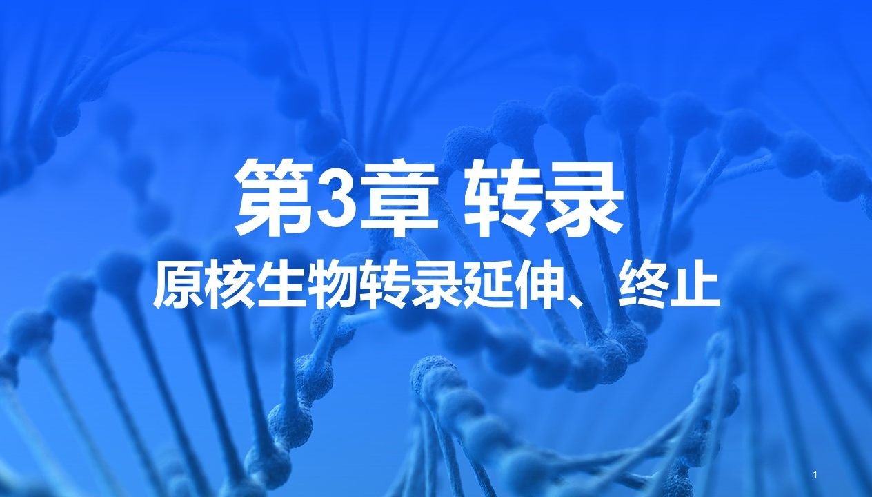 【分子生物学】第3章 转录 | 第3节 RNA的转录 | 原核生物转录过程(...