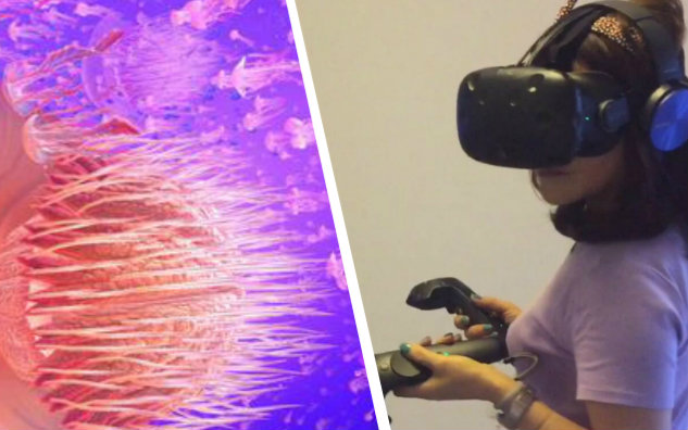 成都时尚辣妈体验VR theBlu 被深海巨型水母震撼至极