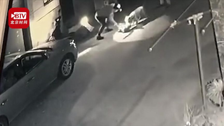 太残忍了!俩男子按住猫让狗将其活活咬死 猫主人:已报警