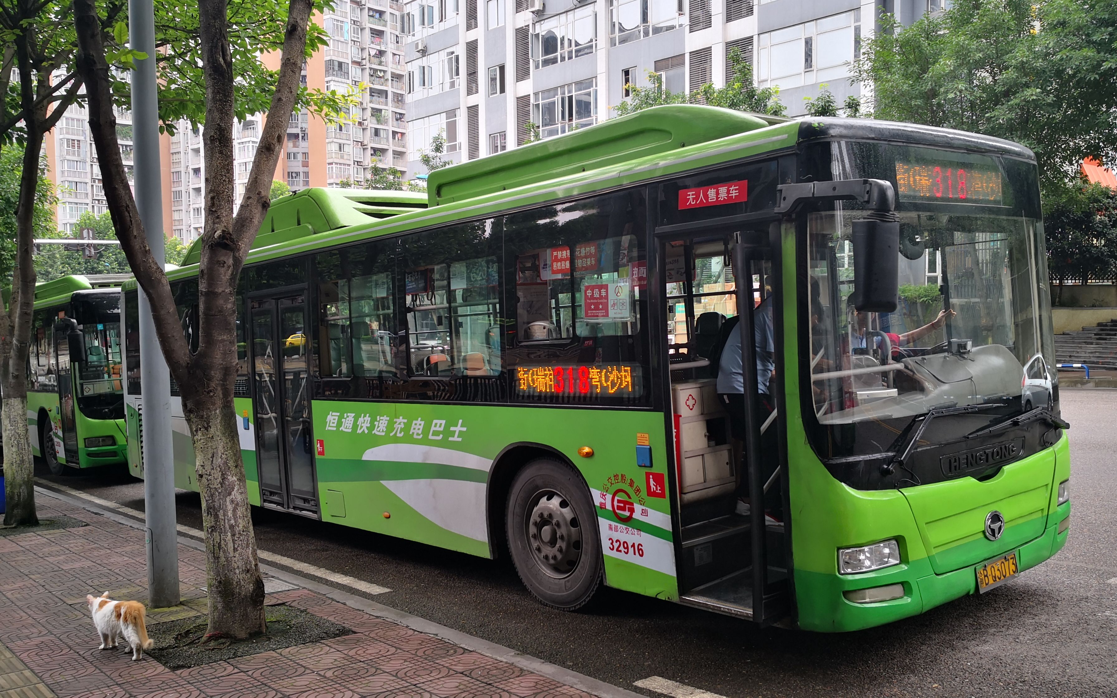 重庆公交 318 全程视角(陈家湾 → 瑞祥路)