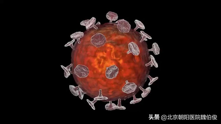【看看冠状病毒长啥样?】