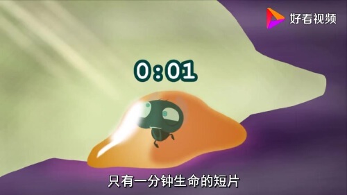 德国爆火动画短片,苍蝇的一分钟生命如何度过?该浪就去浪吧
