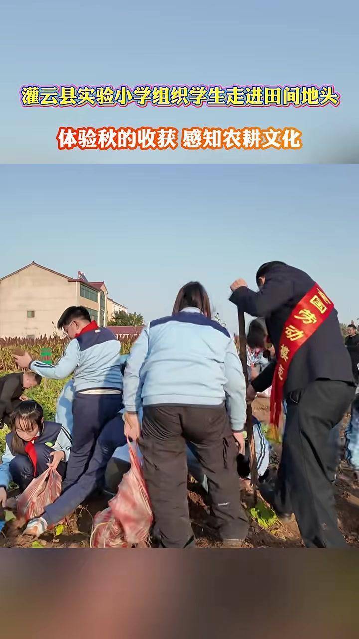 灌云县实验小学组织学生走进田间地头,体验劳动与收获的喜悦,传承...