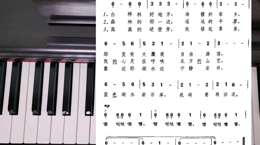 简谱视唱,简谱教唱,白桦林好地方