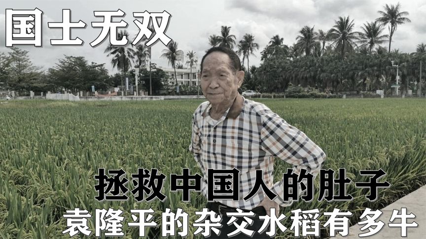 国士无双!拯救中国人的肚子,袁隆平的杂交水稻有多牛?纪录片