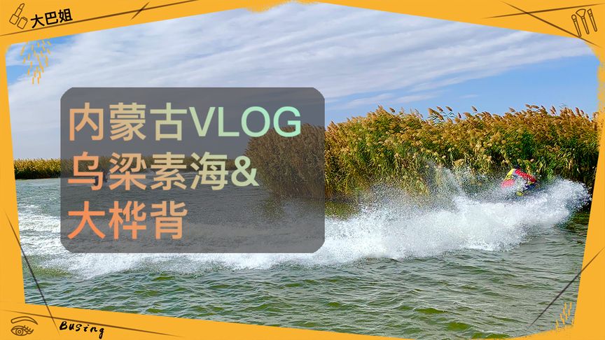 白桦树皮能写字?超美der白桦林 内蒙古秋季VLOG