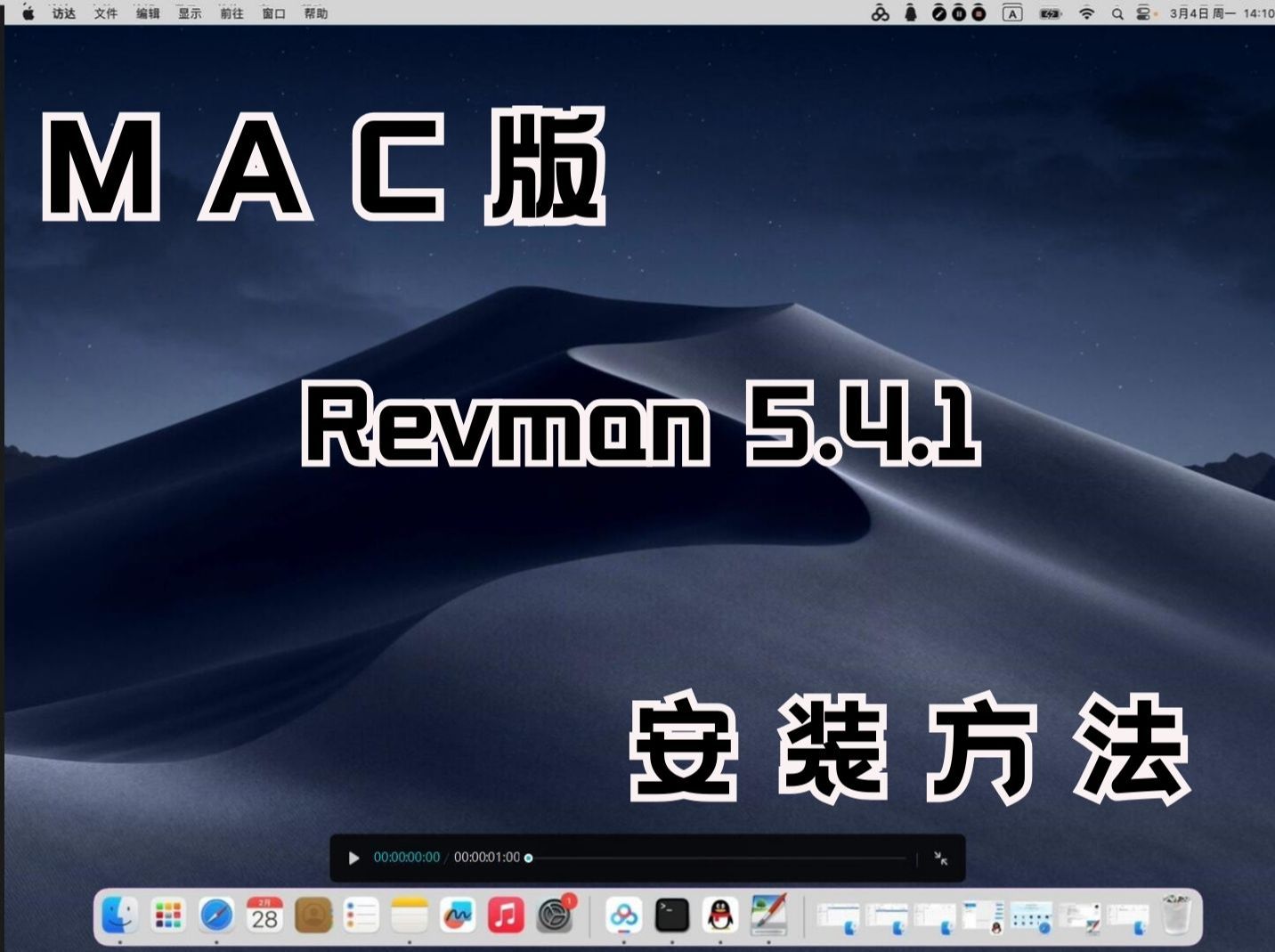 Revman 5.4.1中文版安装教程,下载与学习必备,一学就会!