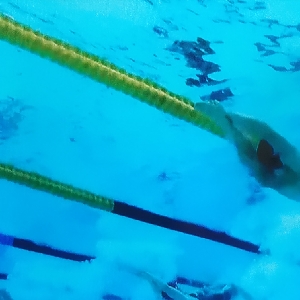 平行的空间向量 