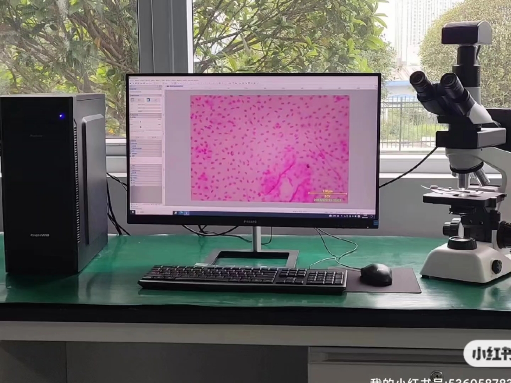 纤维图像分析仪(投影仪)是纺织部纤维细度及含量测定的标准仪器,利用...