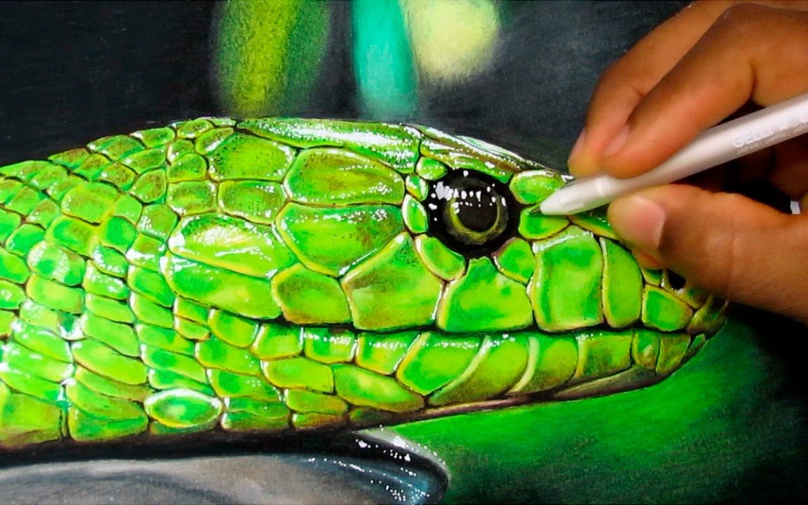 国外绘画大神纸上画蛇,以假乱真,绝了!