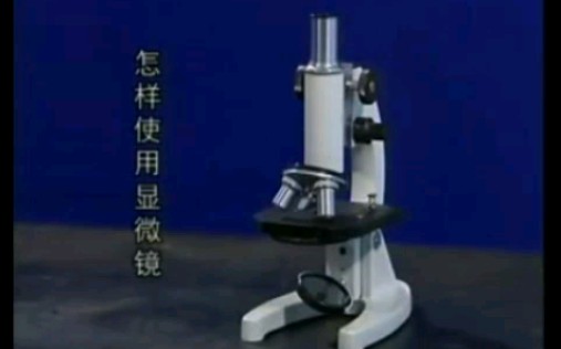 【生物】如何使用显微镜 全网最全版