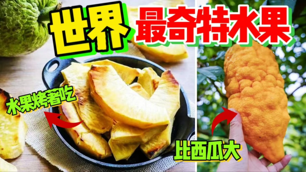 十种最独特的水果,第一名竟能改变人的味觉,让难吃变美味,从能做主粮...