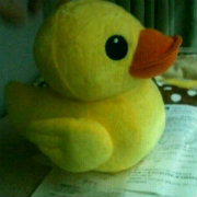 Duck小黄鸭 