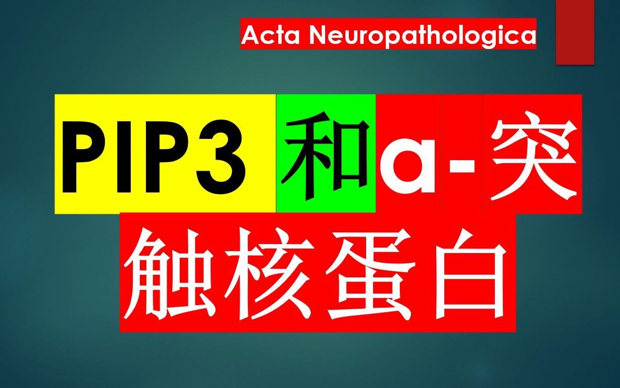 Acta Neuropathologica—脂质分子PIP3是驱动α-synuclein沉积和形成...