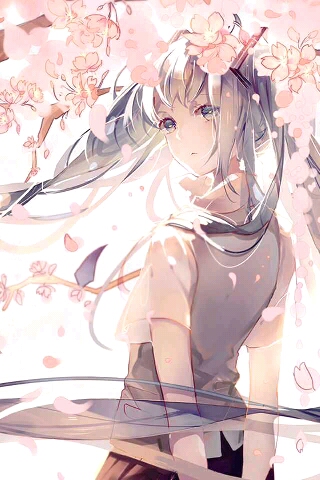 黑玄离 