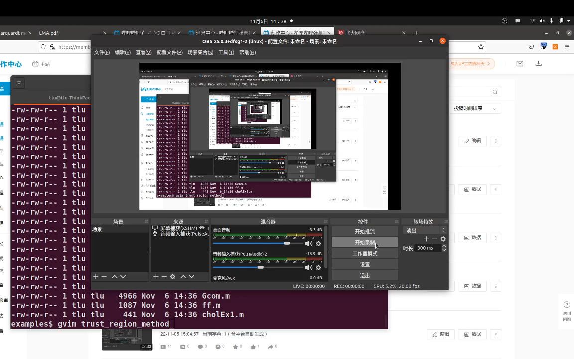 lecture30-2-展示LM算法在北太天元上的全部的代码