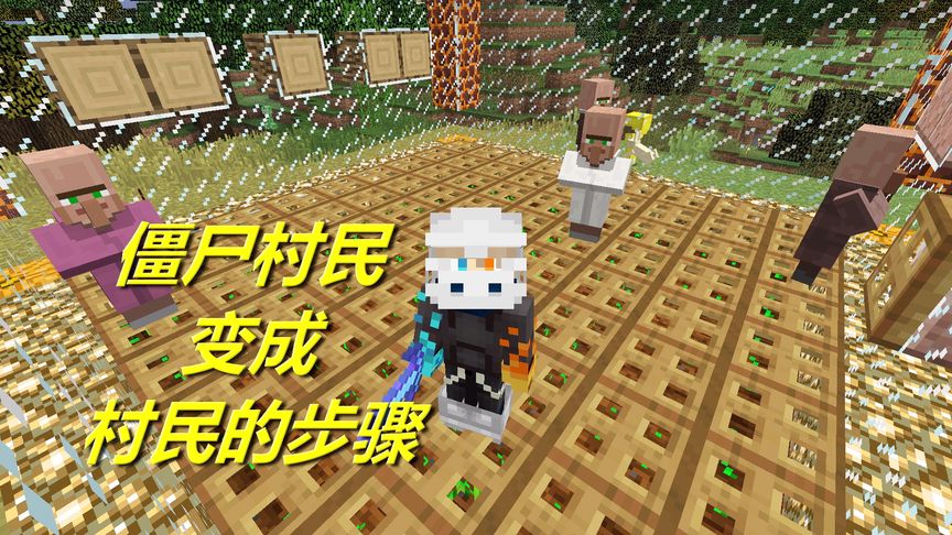 火焰解说 我的世界 3555 僵尸村民变成村民的步骤