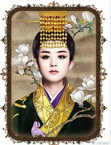 兵权谋家 