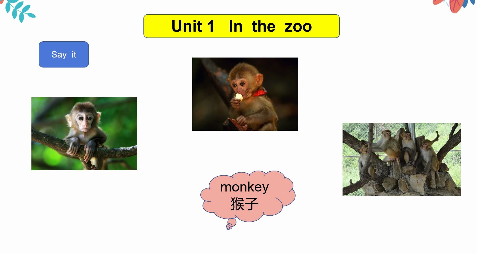 幼小衔接英语第1集