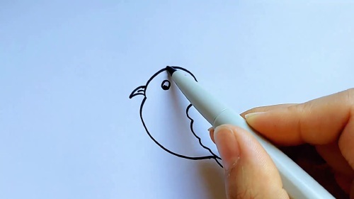小鸟怎么画?创意简笔画,少儿创意美术,儿童画,小鸟简笔画