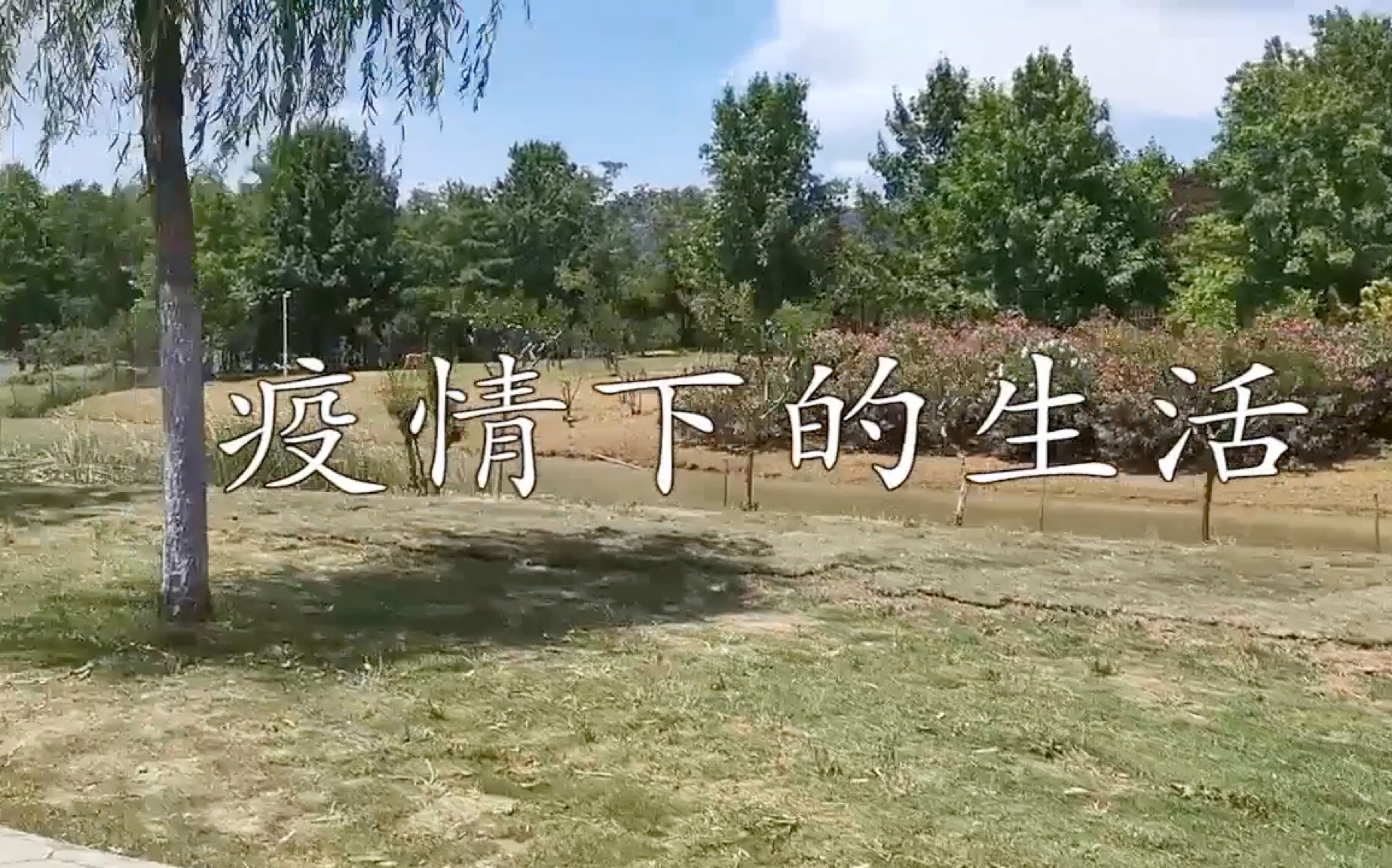 疫情下的生活--小组合作(社死现场)