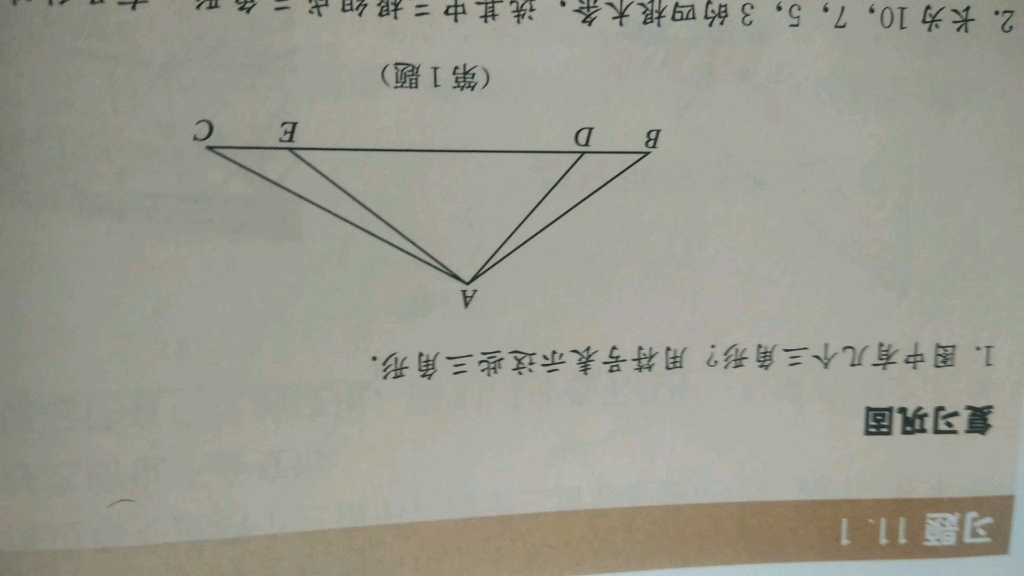 灰分测定法