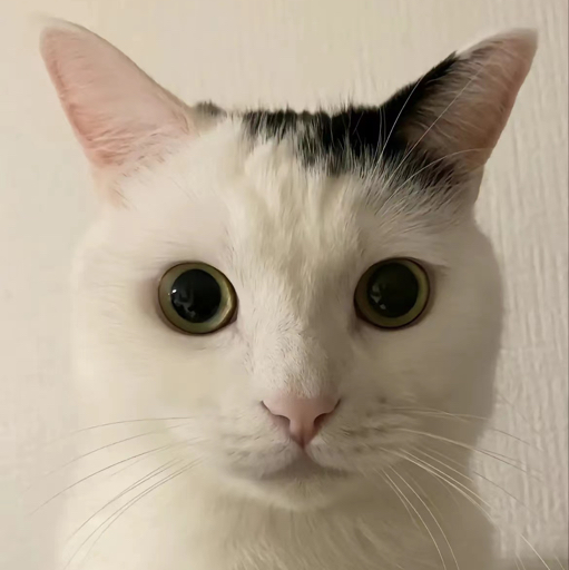 天文电路唱片是朋友 