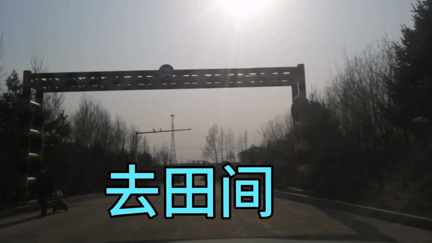 建三江地区,水稻种植,田间整地苗床管理。