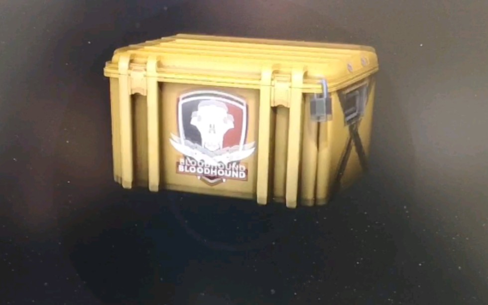 csgo开箱 第一次瞎买的钥匙 你看着枪开的行不行