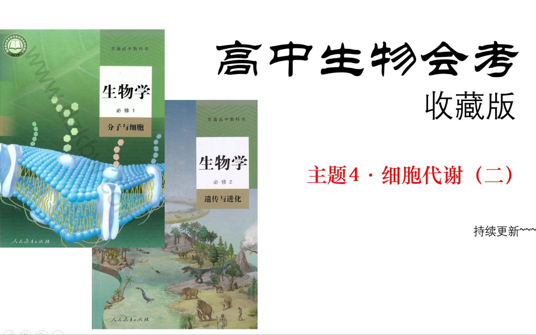 【高中生物会考、合格考】4.2光合作用