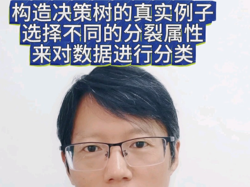 构造决策树的真实例子。