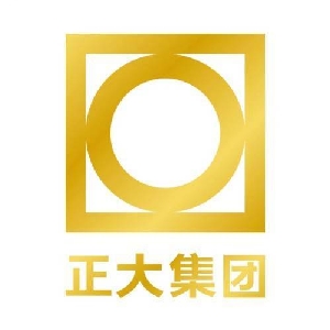 正大集团新疆区 