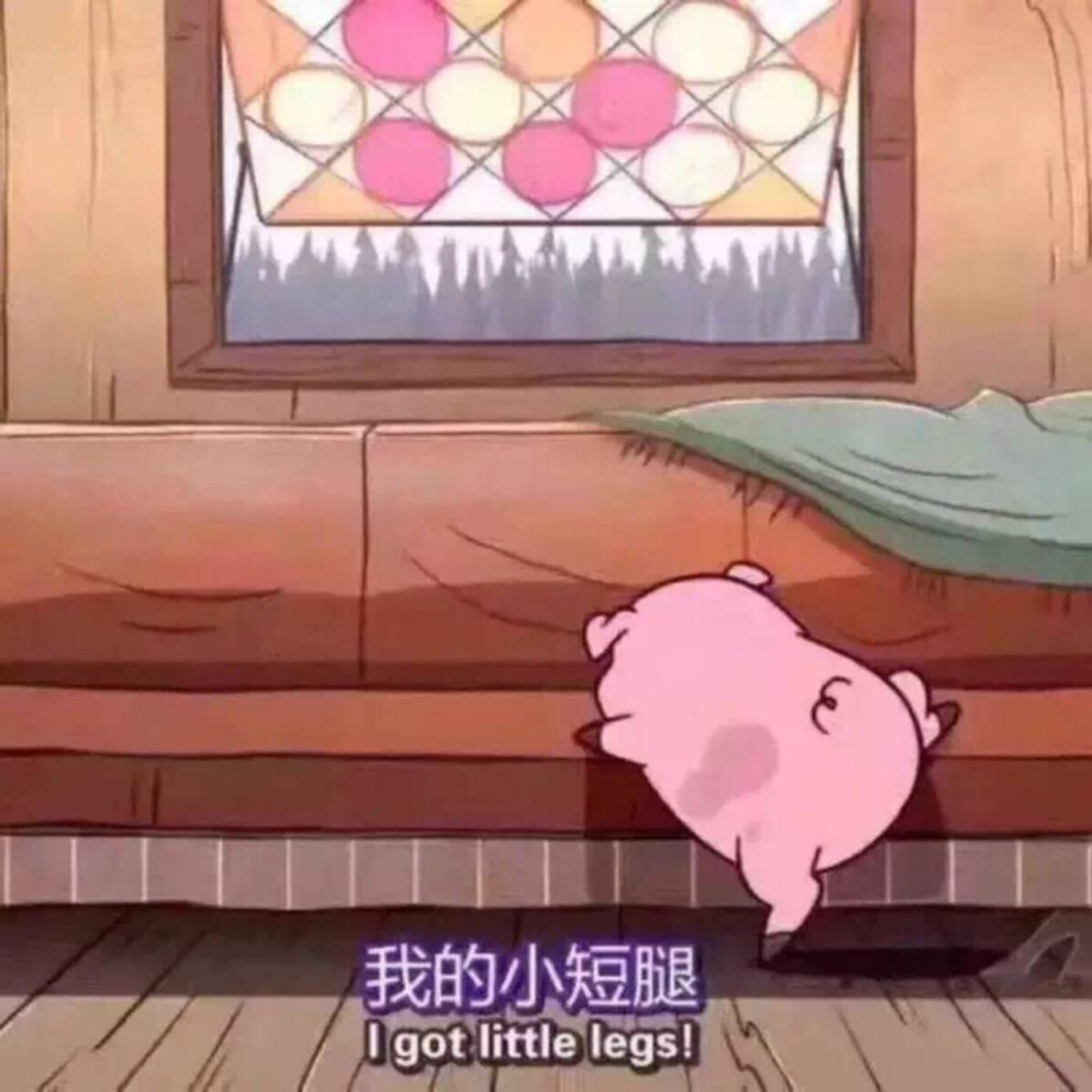 厦大不要我 