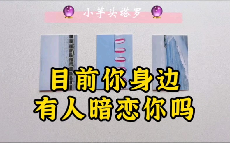 塔罗占卜:目前你身边有人暗恋你吗?