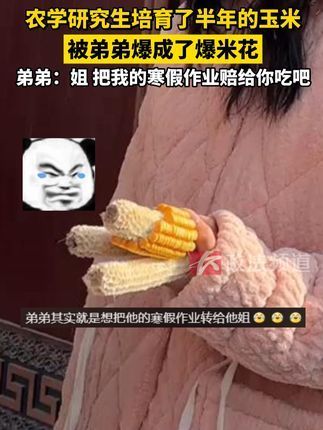 农学研究生培育了半年的玉米,被弟弟爆成了爆米花 #农学生的日常 #...
