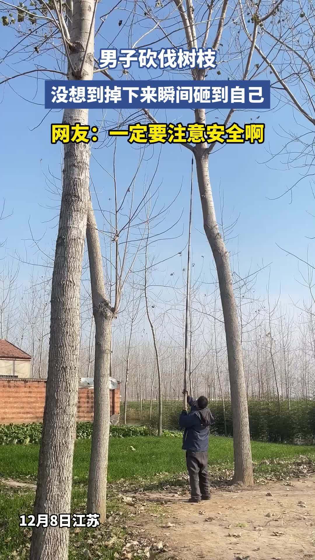 男子砍伐树枝,没想到掉下来瞬间砸到自己