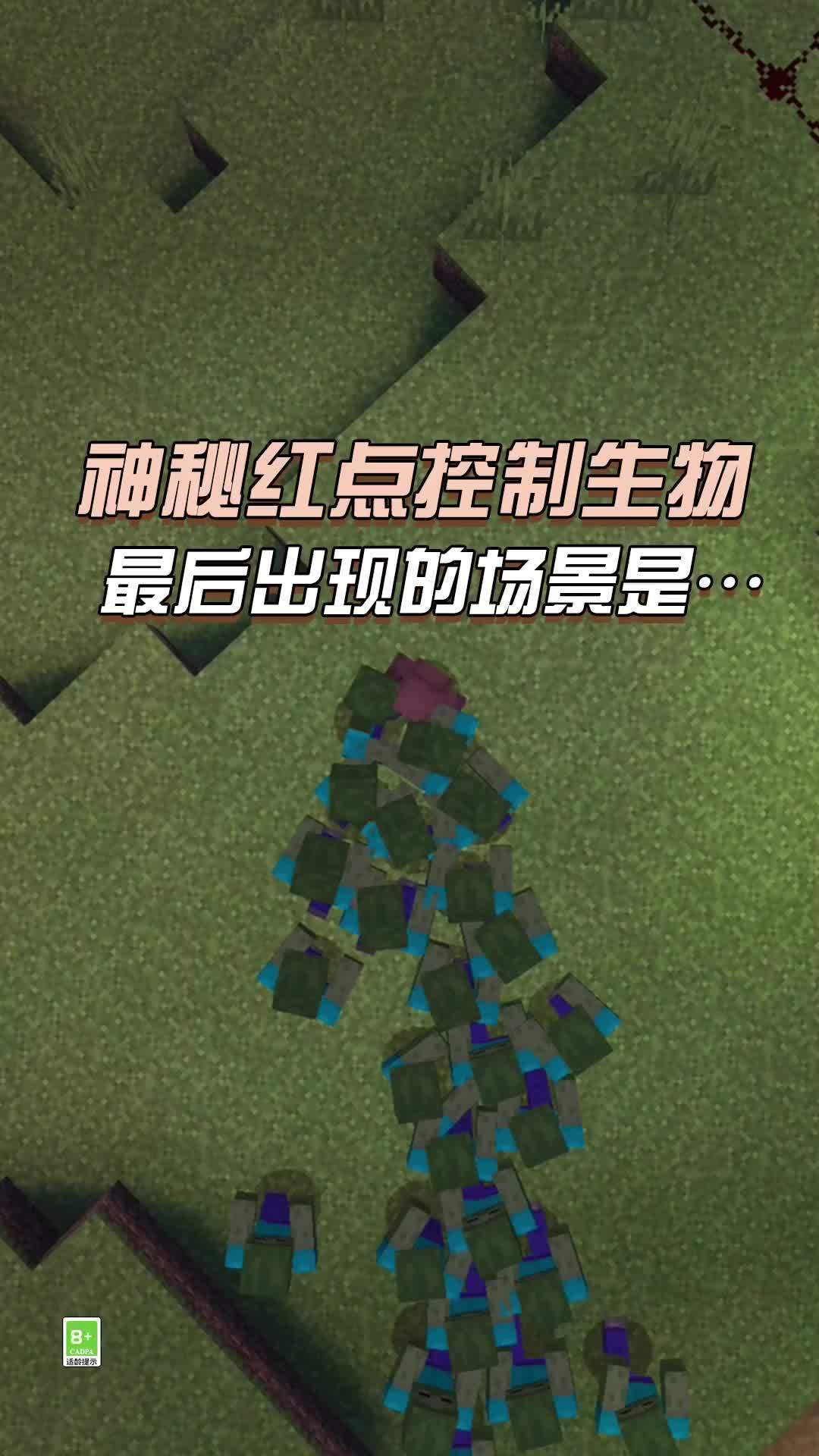 #我的世界神秘光点竟是神奇逗猫棒!大家知道结尾的场景是哪吗?