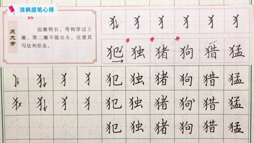 硬笔书法作品教程美如字帖,零基础入门教学书法分析太透彻了!
